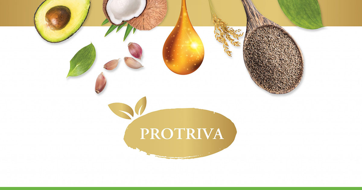 อาหารเสริมโปรทริว่า Protriva น้ำมันสกัดเย็นเกรดพรีเมี่ยม